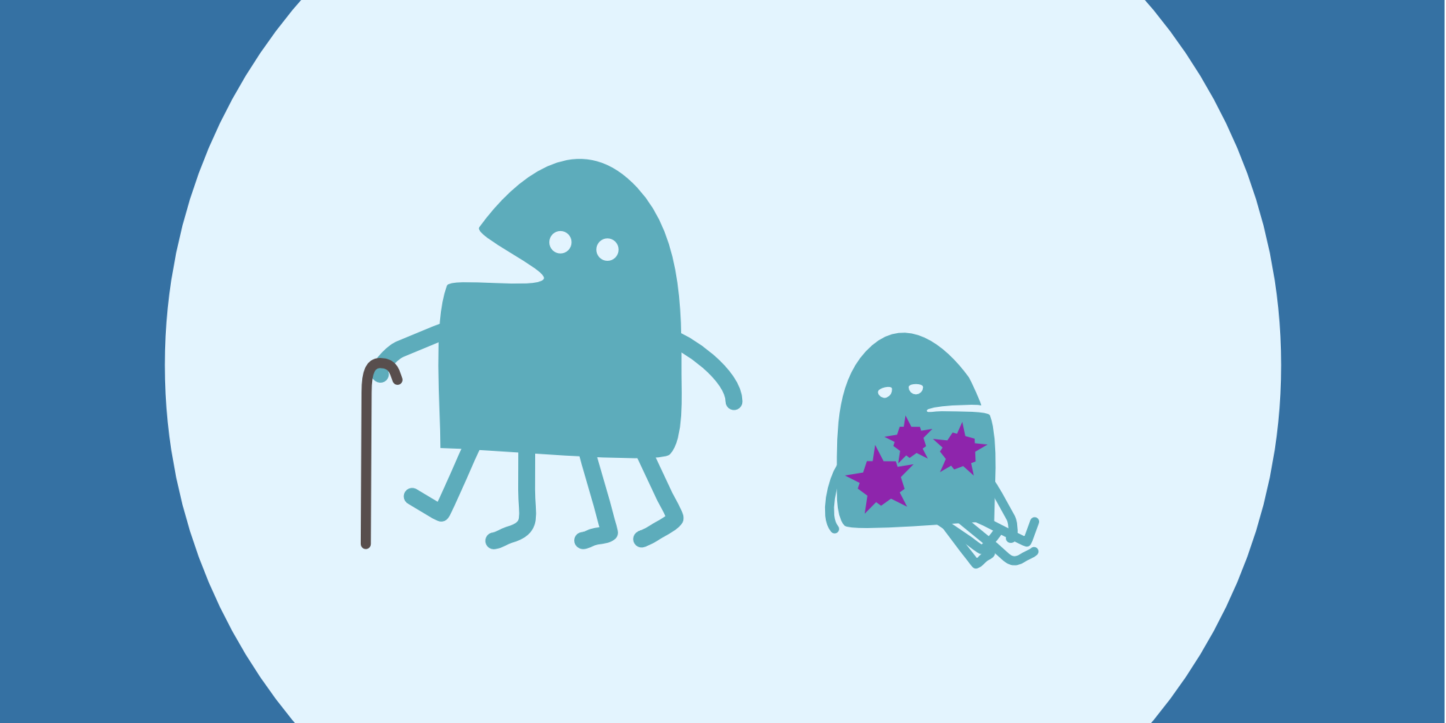 How does ageing affect immunity, and vice versa?