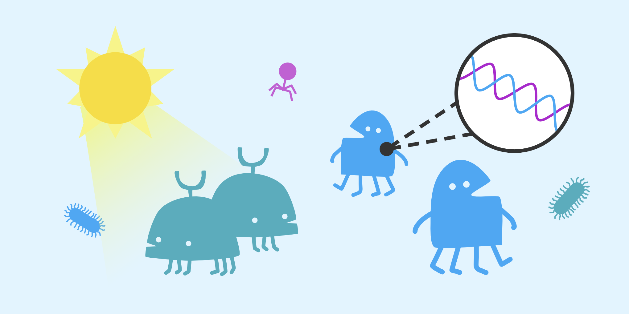 How do environmental and genetic factors affect host-parasite coevolution?